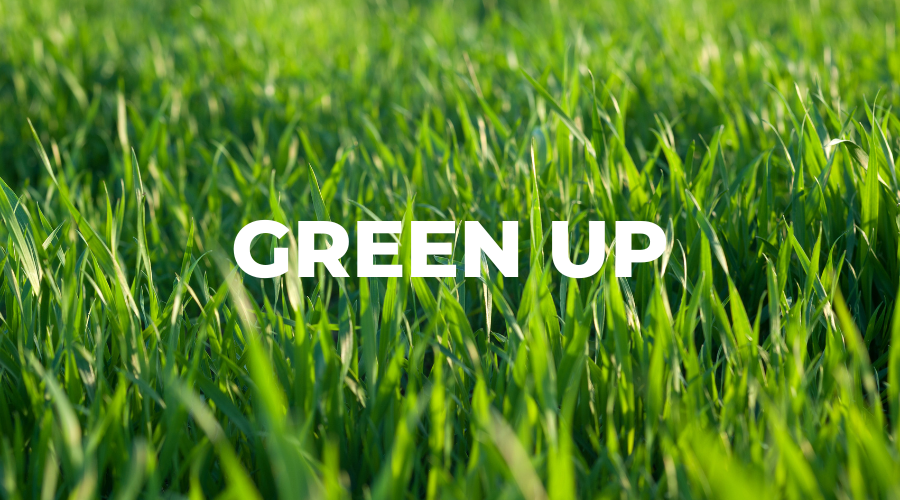 GREEN UP Liquid lawn fertiliser