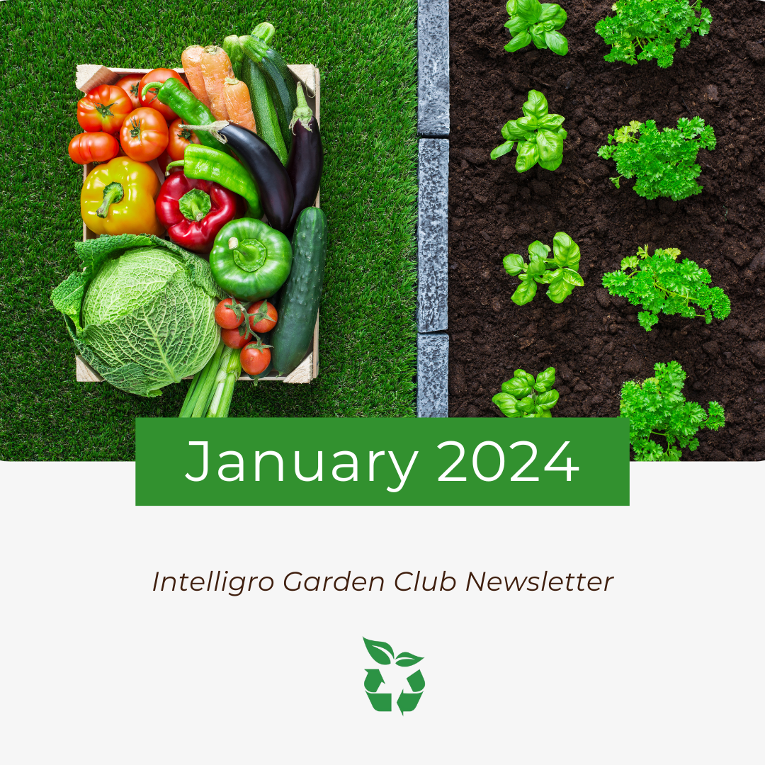 January Garden Club Newsletter 2024