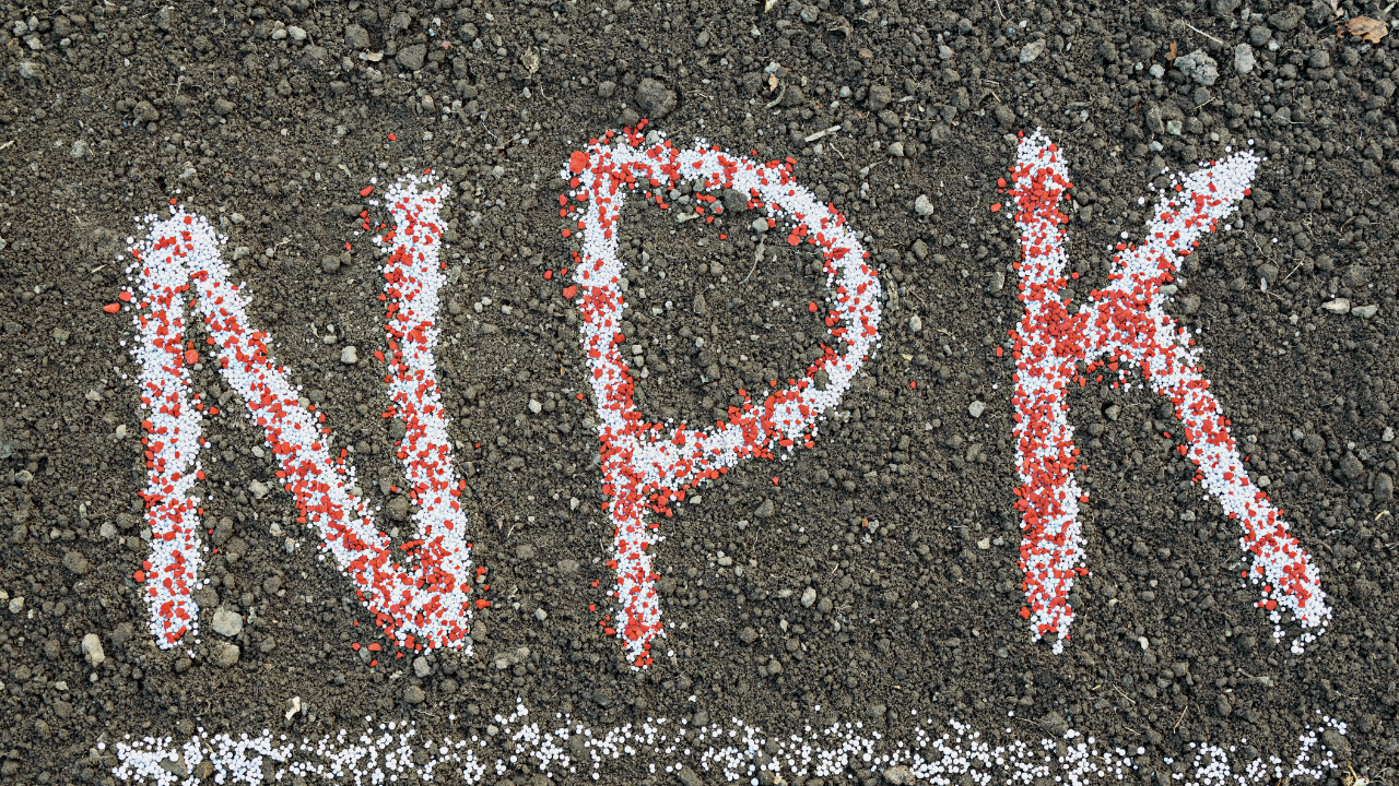 NPK - Understanding your fertiliser